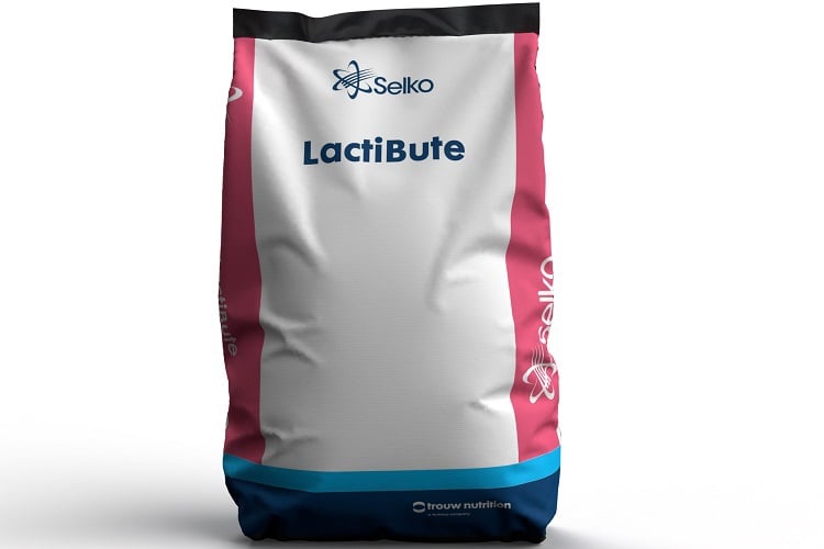 Dairy cow lactation transition - Trouw Nutrition Dairy cow lactation transition - Trouw Nutrition