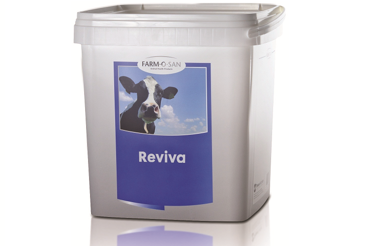 Dairy cow lactation transition - Trouw Nutrition Dairy cow lactation transition - Trouw Nutrition