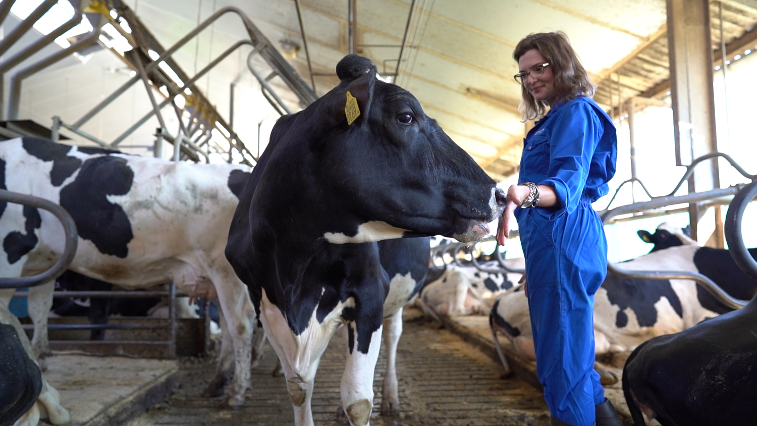 Road to Research: Meet the people behind the science - Trouw Nutrition