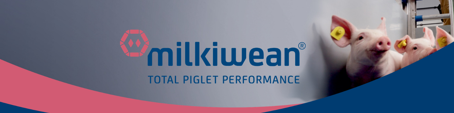 Milkiwean - Total piglet performance solution - Trouw Nutrition