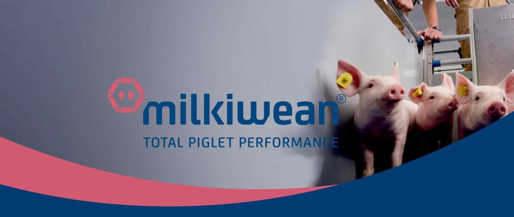 Milkiwean - Total piglet performance solution - Trouw Nutrition